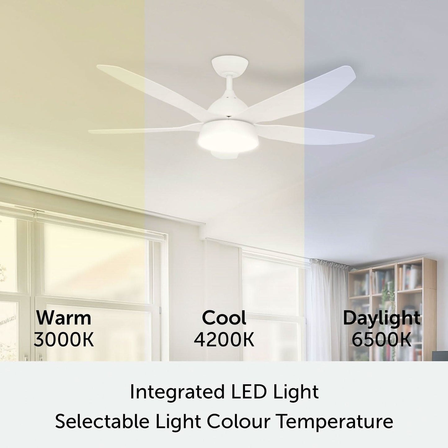 Ceiling Fans with Lights | Stylish & Functional Fans - Brilliant Lighting