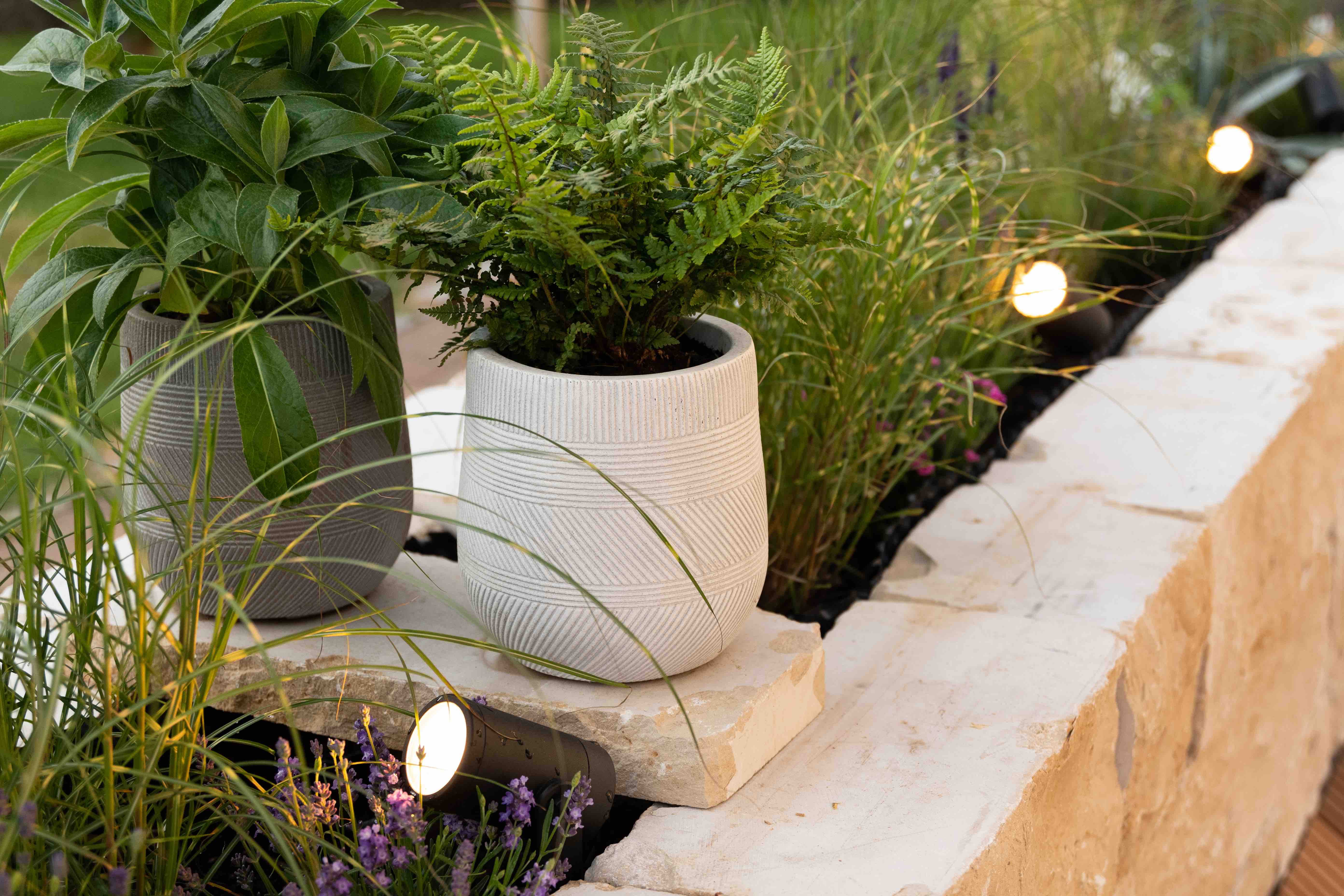 Smart Home Automation Solutions - Brilliant Lighting
